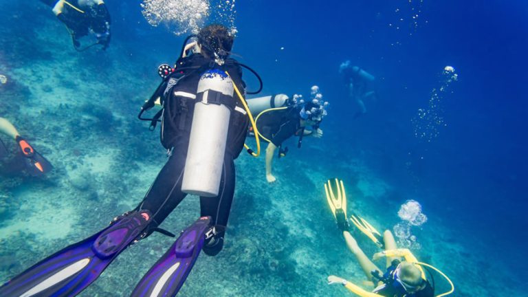 How Much Dive Weight Do I Need? A Diver’s Guide to Perfect Buoyancy Control – SPORTALSUB.NET